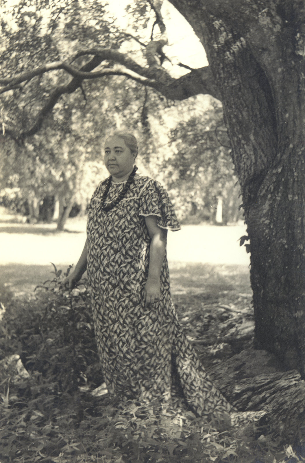 ʻŌlelo Hawaiʻi | Explore Lessons | Kumukahi